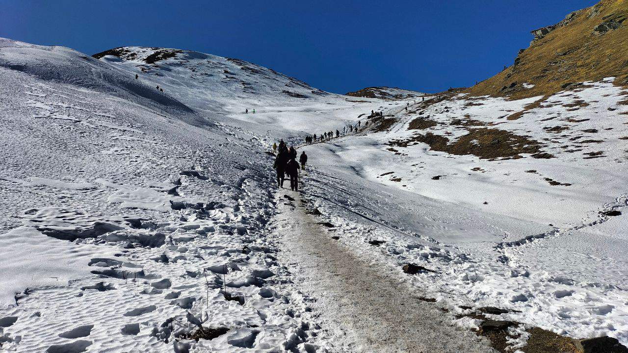 Your Ultimate 6-Day Kuari Pass Trek Itinerary: Conquering the Himalayan ...